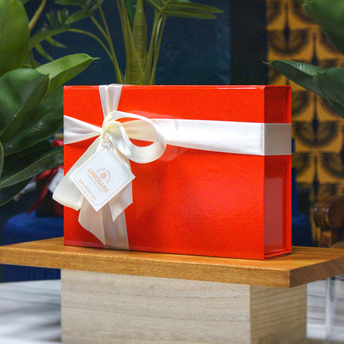 Explorer's Gift Collection Set